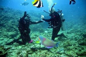 PADI Scuba Diving Certification Levels Explained