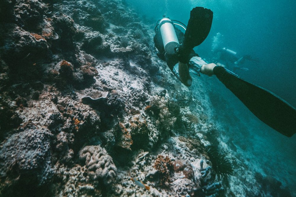 How Scuba Divers Are Helping Rebuild Puerto Rico's Coral Reefs - Blog