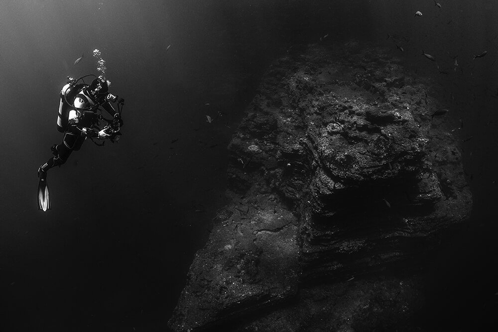6 Tips for a Perfect Night Dive