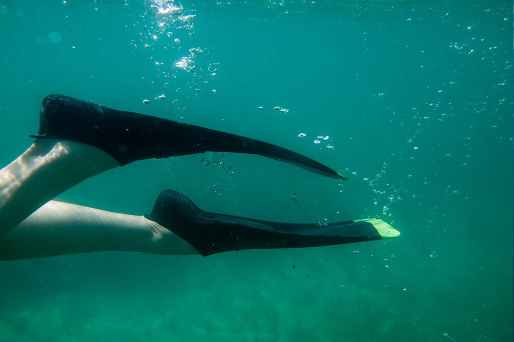 How to Properly Scuba Dive with Fins - Blog