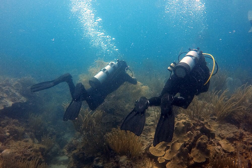 5 Tips for Dealing with a Panicked Scuba Diver